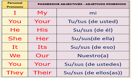 ADJETIVOS POSESIVOS | LEARNING ENGLISH IS FUN